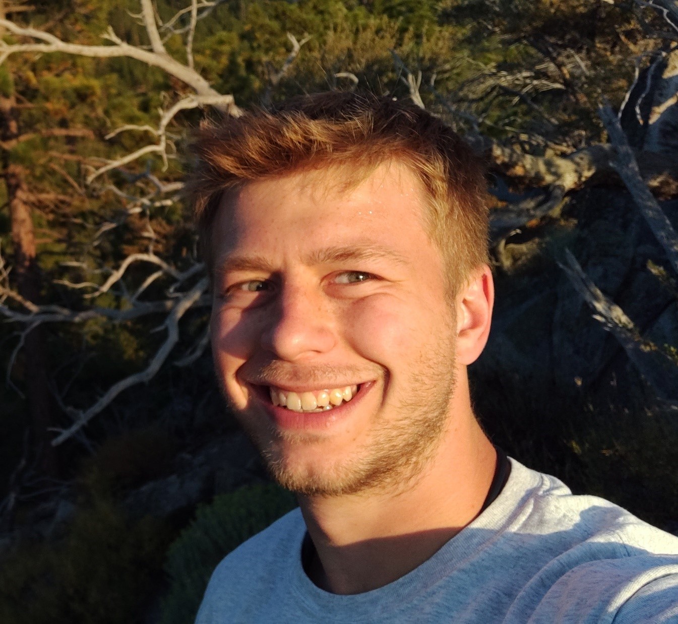 Current Members – Strachan Group